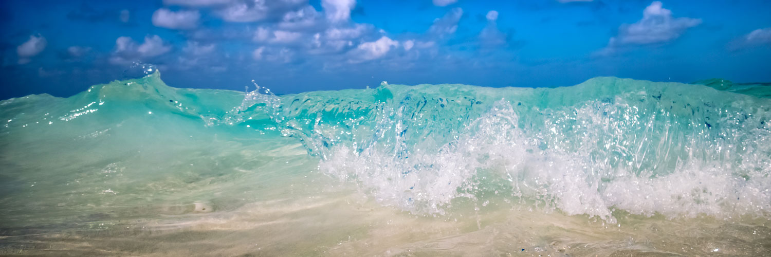 Promote your Business on InfoBonaire - InfoBonaire