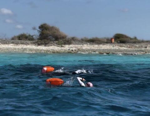 Results of Fundraiser ‘11K for Sea Turtle Research in Lac Bay ...