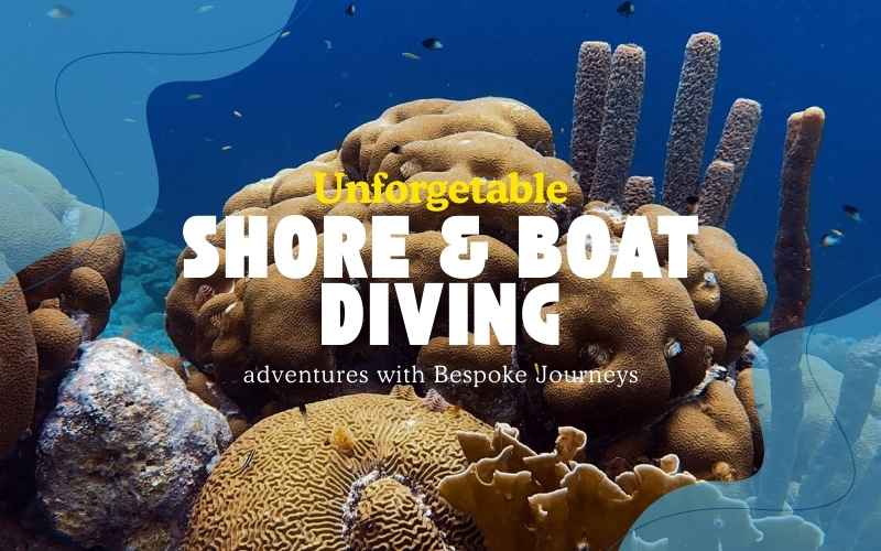 Unforgettable Shore and Boat Diving Adventures with Bespoke Journeys ...